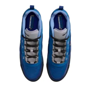 Nike Air Max Ishod Skate Shoes