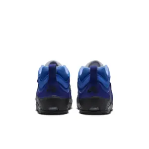 Nike Air Max Ishod Skate Shoes