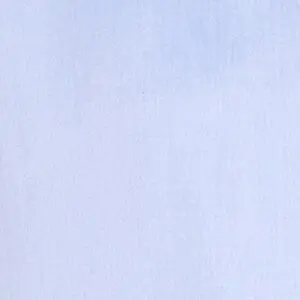 Max Mara Cotton Oxford Shirt