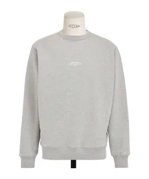 Dior Montaigne Sweatshirt - Gray