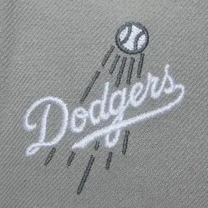 Mitchell & Ness Los Angeles Dodgers Thunderstorm Head Coach Pro-crown Adjustable Hat