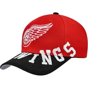 Mitchell & Ness Black Detroit Wings Underarch Two-tone Pro Crown Snapback Hat - Red