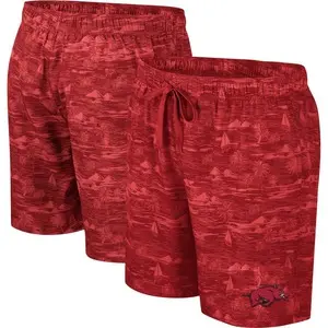 COLOSSEUM Arkansas Razorbacks Ozark Swim Shorts - Cardinal