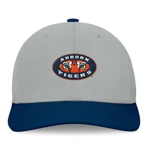Top Of The World Auburn Tigers Mick Flex Cap