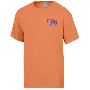 COMFORTWASH Clemson Tigers Big Name T-shirt
