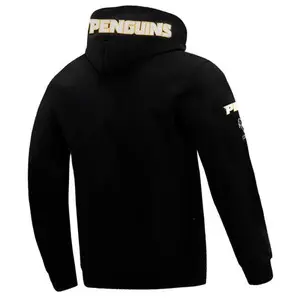 PRO STANDARD Pittsburgh Penguins Classic Pullover Hoodie