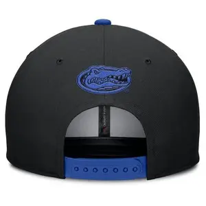 JORDAN BRAND Royal Florida Gators 2025 Sideline Campus Pro Local Snapback Hat