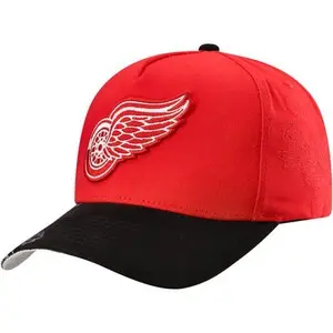 Mitchell & Ness Black Detroit Wings May Flowers Pro Crown Adjustable Hat