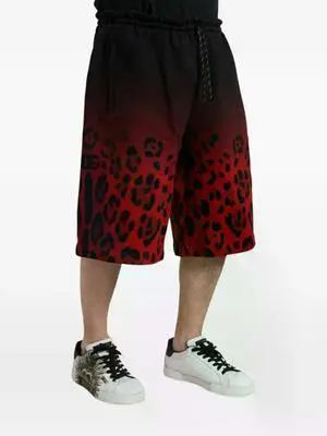Dolce & Gabbana Leopard-print Ombré Shorts