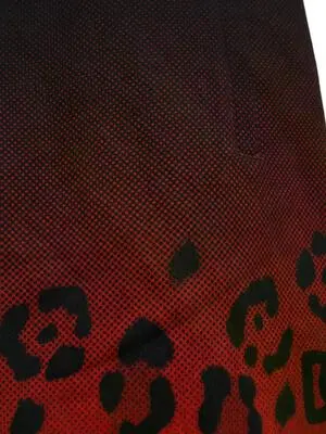 Dolce & Gabbana Leopard-print Ombré Shorts