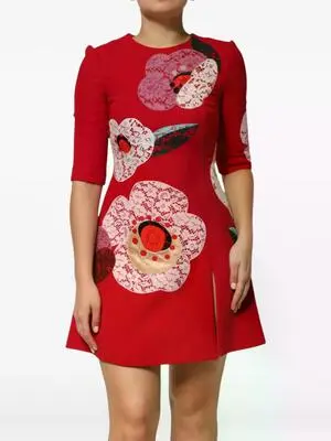 Dolce & Gabbana Lace Floral-applique Mini Dress - Red