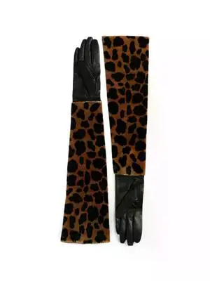 Dolce & Gabbana Leopard-print Panelled Gloves