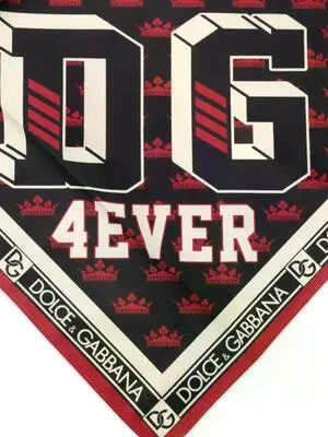 Dolce & Gabbana Dgroyals Logo-print Scarf