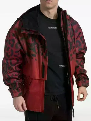 Dolce & Gabbana Leopard-print Tiger-eye Jacket