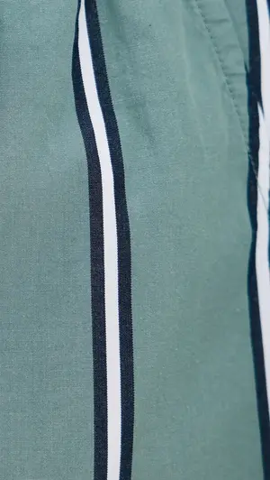 Donni. The Pop Stripe Drawstring Pants