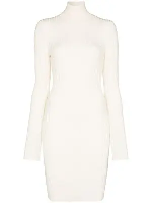 Wolford Ribbed Knit High Neck Mini Dress