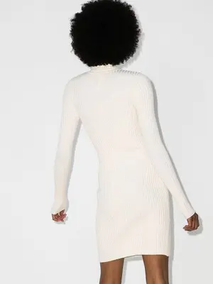 Wolford Ribbed Knit High Neck Mini Dress