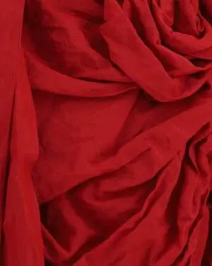 Magda Butrym Draped Shawl-collar Midi Dress