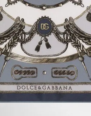 Dolce & Gabbana Dolce Gabbana Rope Print Scarf