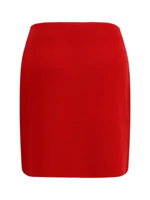 Fabiana Filippi Wool Skirt