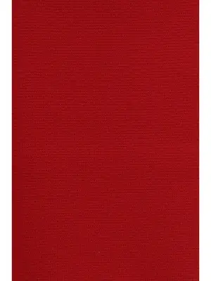 Fabiana Filippi Wool Skirt