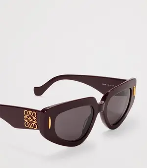 Loewe Small Butterfly Screen Sunglasses - Brown