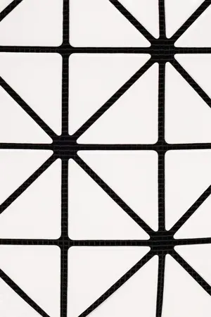 Issey Miyake High-shine Geometric-design Cardholder