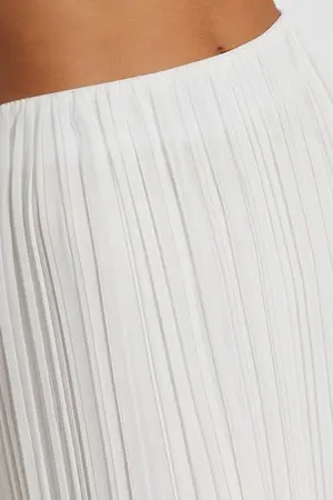 Fabiana Filippi Pleated Maxi Skirt