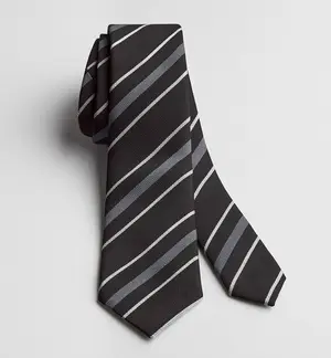 Dior Striped Tie