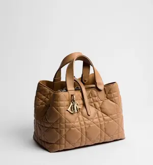 Dior Medium Toujours Bag