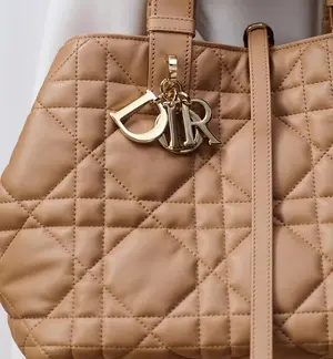 Dior Medium Toujours Bag