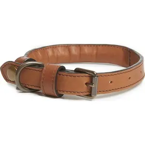 KORCHMAR Gordon Leather Dog Collarsm - Espresso