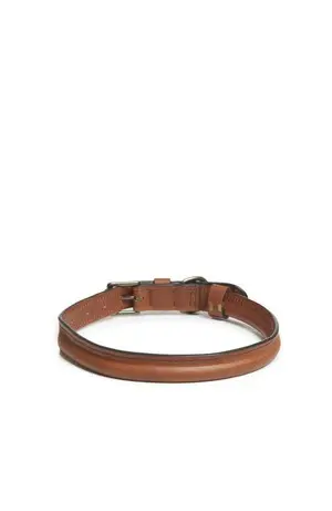 KORCHMAR Gordon Leather Dog Collarsm