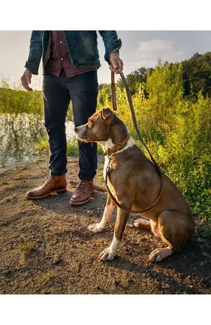 KORCHMAR Hadley Leather Dog Leash