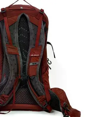 GREGORY Citro 24 Logo-print Backpack - Red