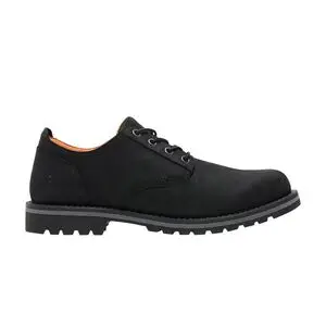 Timberland Redwood Falls Waterproof Shoe - Black