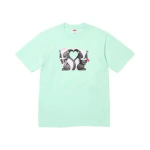 Supreme Skunk Tee 'mint