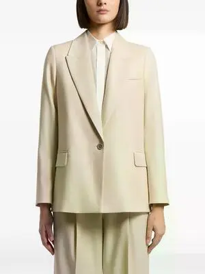 Peserico Single-breasted Peak-lapels Jacket - Neutrals