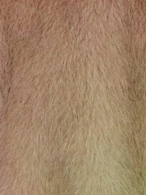 Max Mara Faux-fur Pointed-collar Coat