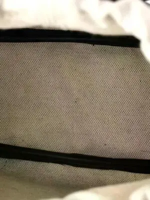 Goyard Beluga Mini Tote Bag In Coated Canvas