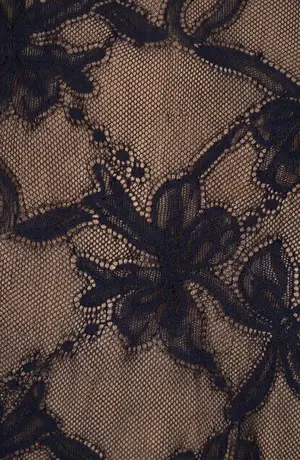 MODENAIRE Sheer Lace Sleeveless Maxi Dress