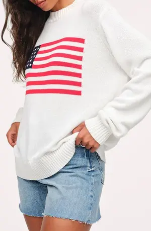 NUUDS Americana Graphic Knit Sweater