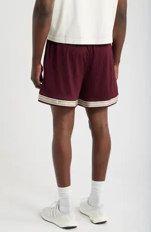 Adidas Warp Knit Shorts