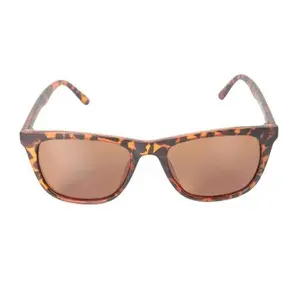 ANIMAL Hazel Polarized Sunglasses - Tan