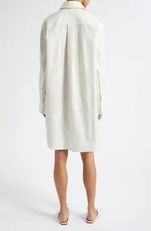 Derek Lam 10 Crosby Piper Long Sleeve Shirtdress