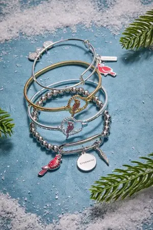 ALEX AND ANI Cardinal Duo "strength" Charm Bangle Bracelet