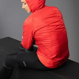 GOREWEAR R5 Gtx Infinium Pant