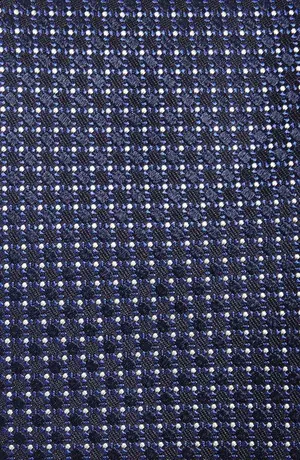 Canali Dot Silk Tie