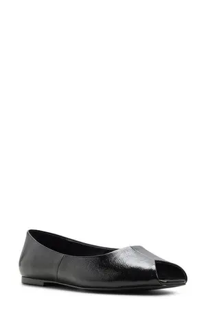 Aldo Flat Shoes For Women