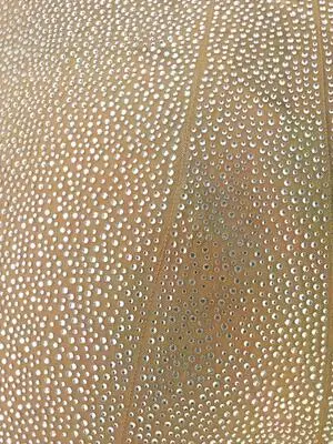 Giuseppe Di Morabito Crystal-embellished Leggings